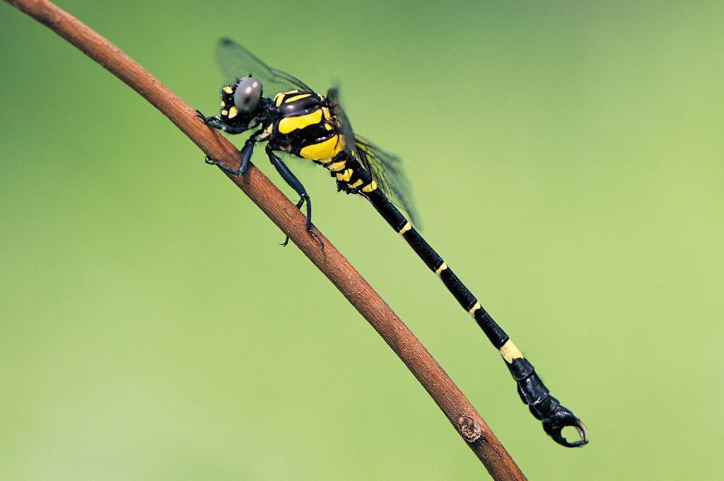 Hong Kong UNESCO Global Geopark