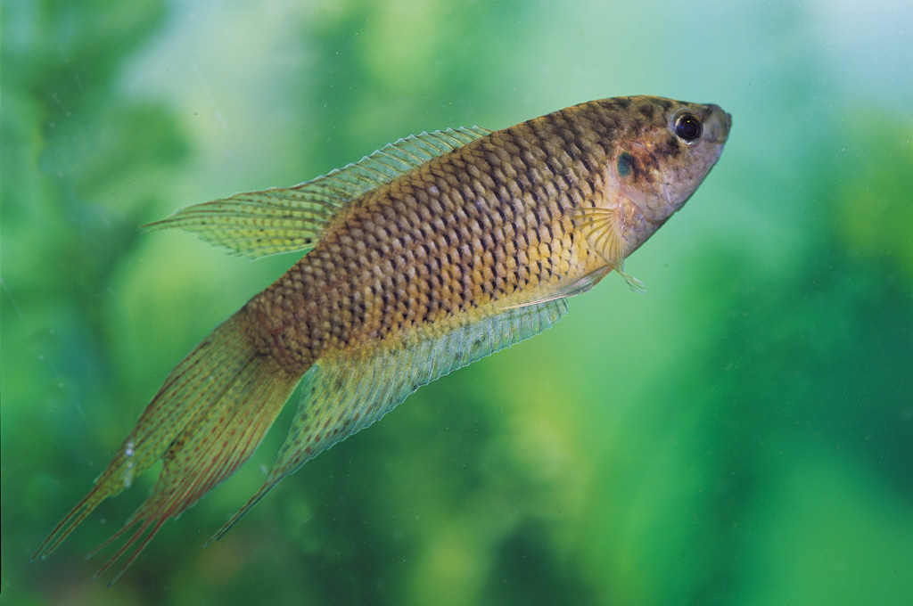 Hong Kong UNESCO Global Geopark