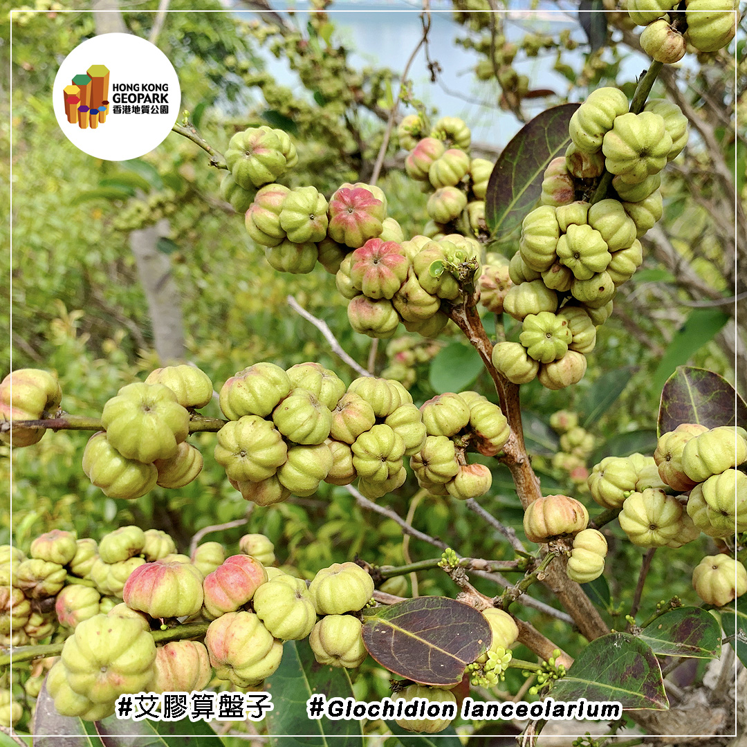 Hong Kong UNESCO Global Geopark