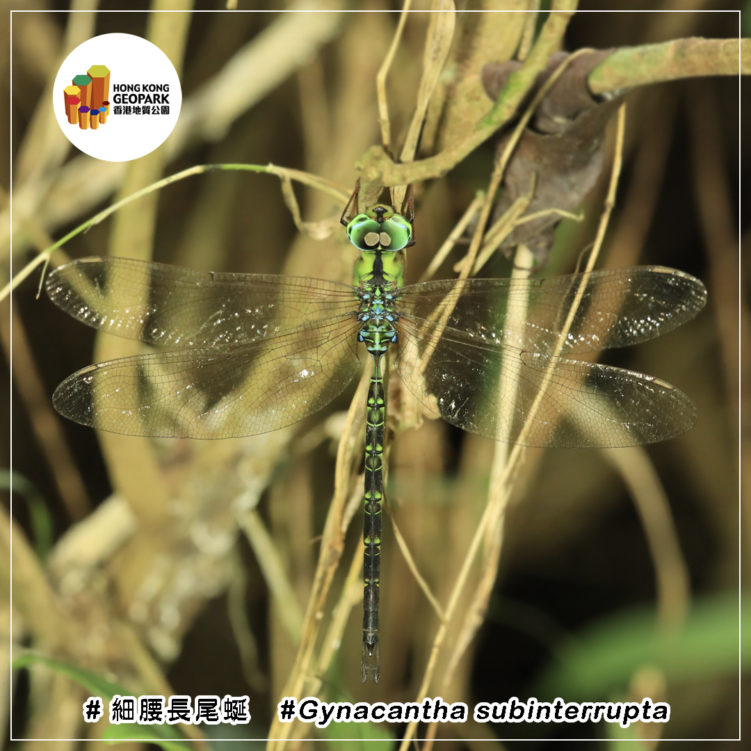 Hong Kong UNESCO Global Geopark