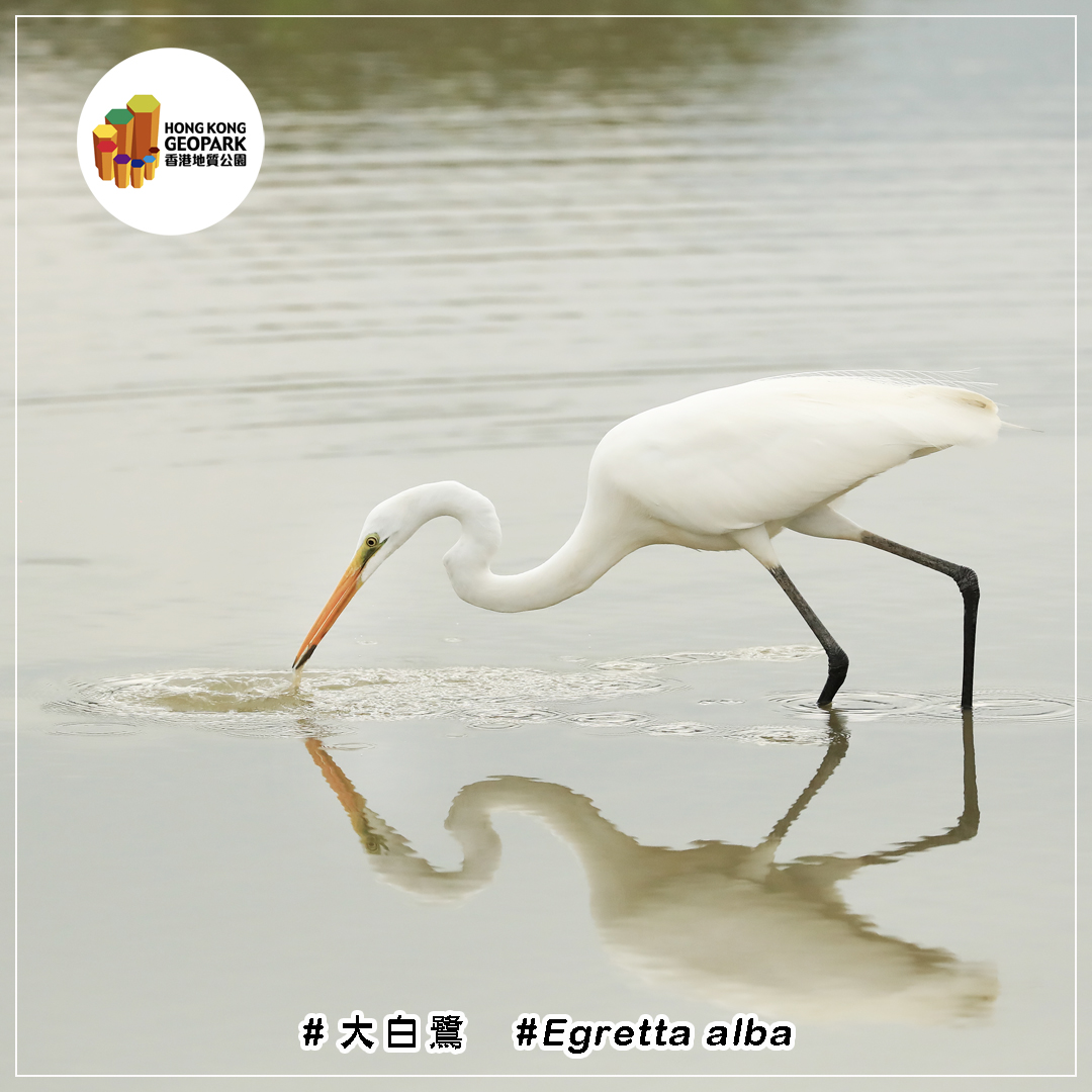 Hong Kong UNESCO Global Geopark